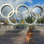 Private Tour:Whistler+Sea 2 sky gondola+Shannon Fall+Green Lake - Practical Details That Make a Difference