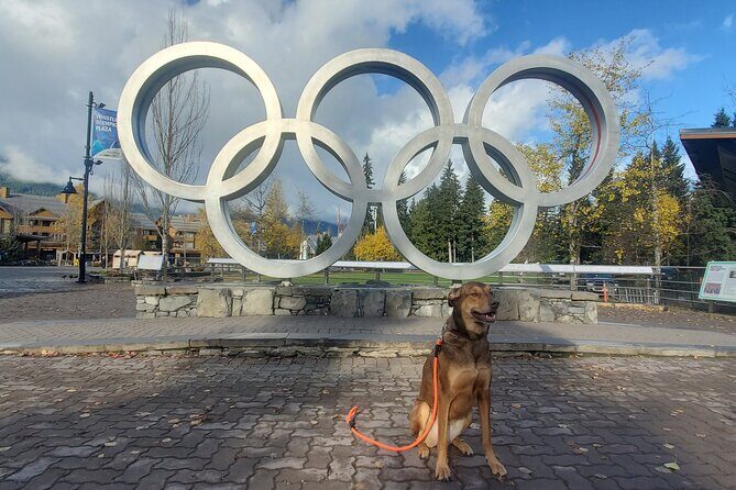 Private Tour:Whistler+Sea 2 sky gondola+Shannon Fall+Green Lake - Practical Details That Make a Difference