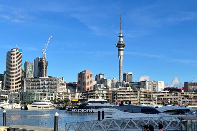 Private Transfer From Auckland Airport Oaks To Auckland City - Why This Transfer Is a Great Choice