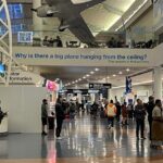 Private Transfer From Auckland Airport To Rotorua - Pricing and Value