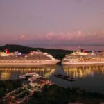 Private Transfer from Brisbane Airport (BNE) to Brisbane Port - Who Would Love This Service?