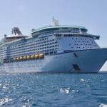 Private Transfer from Brisbane Hotels to Brisbane Cruise Port - The Pricing and Its Value