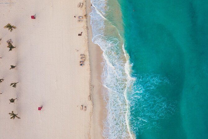 Private Transfer from Cabo San Lucas to La Paz - The Sum Up