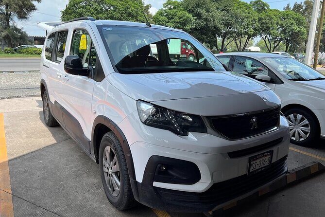 Private Transfer Guadalajara Redondo Airport - What Travelers Are Saying