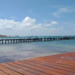 Private Transfer (One Way) Cancun And Hotel Zone (1-8 Passengers) - First Impressions: What You Can Expect at Arrival