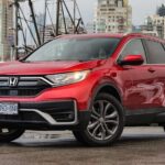 Private Transfer to or from Toronto Pearson International Airport - Pickup and Luggage Handling