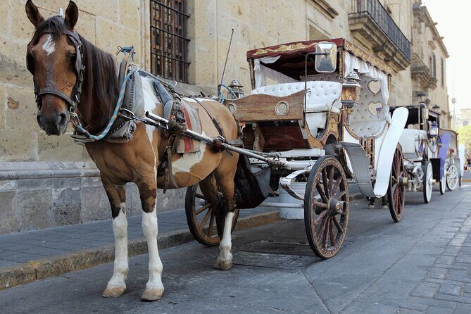 Private Transportation from Guadalajara to Puerto Vallarta - In-Depth Look at the Journey