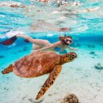Private Turtle and Ray Tour Rarotonga - The Value of This Tour