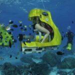 Private Underwater Scooter - In-Depth: The Itinerary and Experience