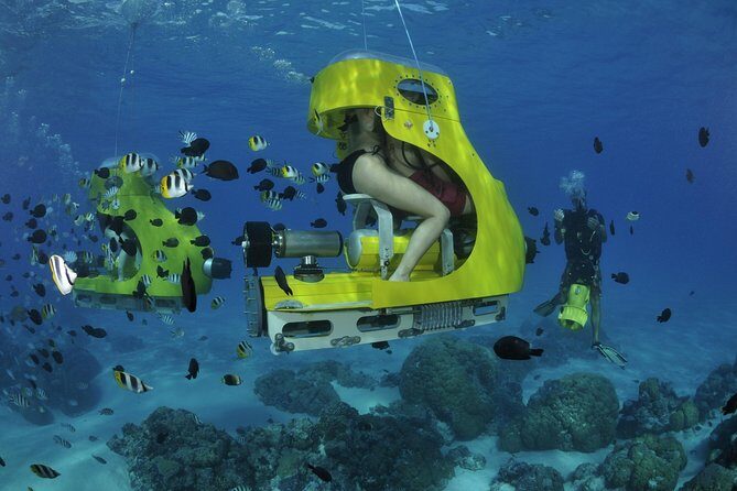 Private Underwater Scooter - In-Depth: The Itinerary and Experience