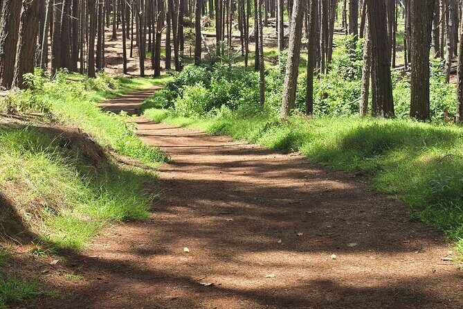 Private Upcountry Hiking Tour - Practical Details and Considerations