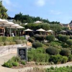 Private Vineyard Bush Walk Tour in Waiheke Island - Practical Details: Price, Duration, and Booking