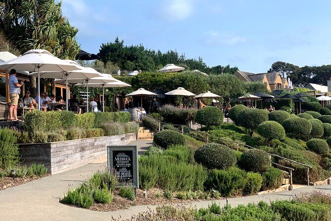 Private Vineyard Bush Walk Tour in Waiheke Island - Practical Details: Price, Duration, and Booking