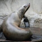 Private-VIP- Vancouver City Tour, SUV - What the Tour Includes and Excludes