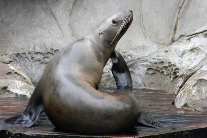 Private-VIP- Vancouver City Tour, SUV - What the Tour Includes and Excludes