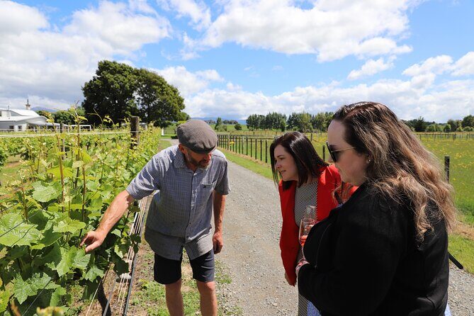 Private Wairarapa Wine Delights Tour from Wellington - FAQs