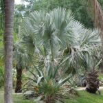 Private Walking Tour to St. John's Botanical Garden - Practical Details & Value