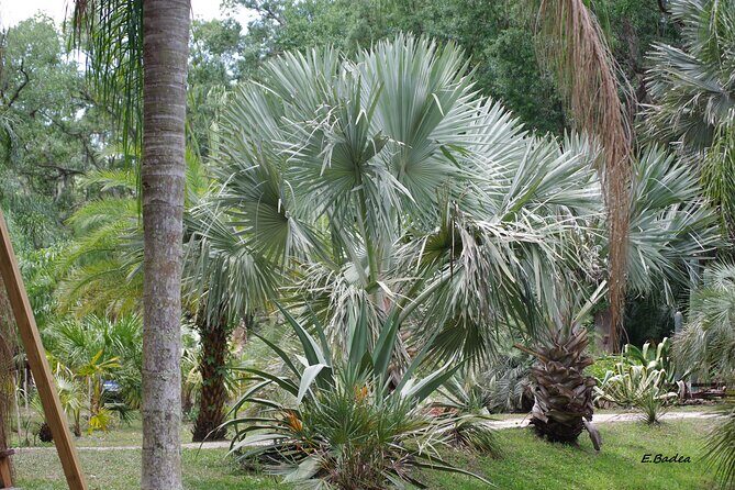Private Walking Tour to St. John's Botanical Garden - Practical Details & Value