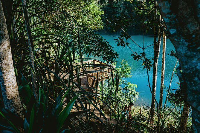 Private Waterfall and Rainforest Day Tour - Final Thoughts