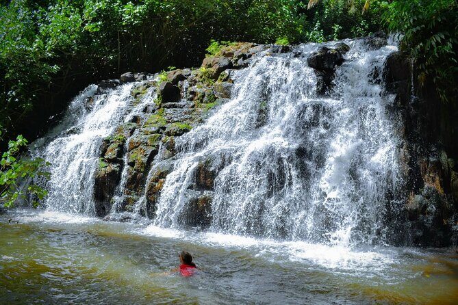 Private Waterfalls Hike and Swim in Lihue - The Experience: Authenticity and Personal Touches