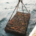 Private West Passage Oyster Tasting Aquaculture Tour - The Highlight: Oyster Tasting and Shucking