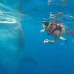 Private Whale Shark Tour from Cancun - Practical Tips for Booking and Enjoying