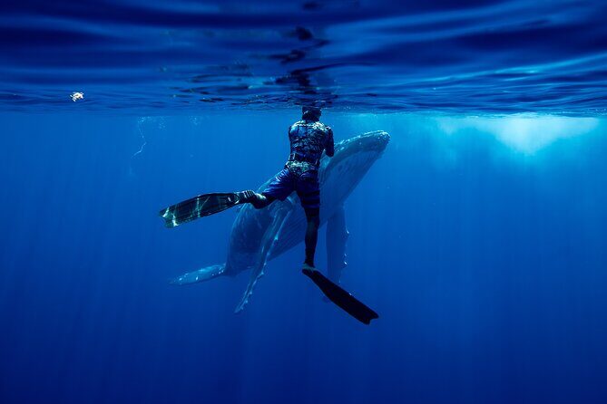 Private Whale Watching Adventure in Mo'orea - Why This Tour Stands Out