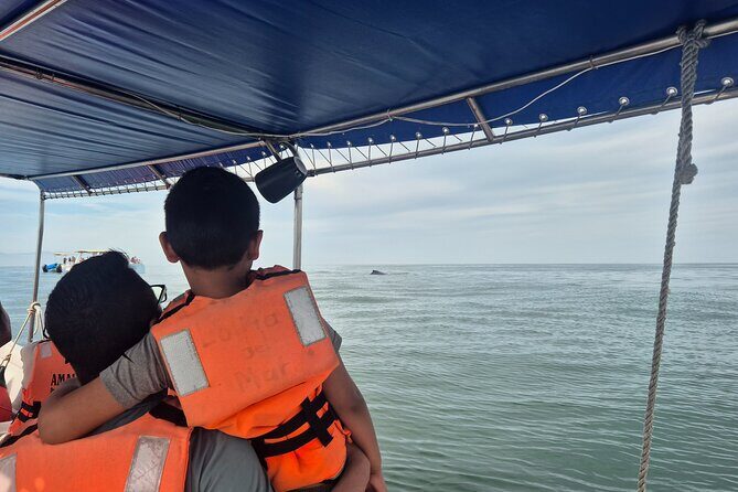 private whale watching at sunset - What to Expect from the Tour