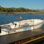 Private Whale Watching in San José del Cabo - The Experience in Detail