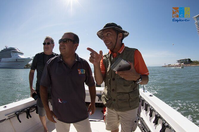 Private Whale watching Puerto Vallarta - Detailed Breakdown of the Itinerary