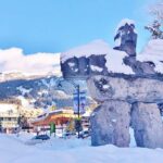 Private Whistler Tour: Discover the best of Whistler! - What to Expect from the Experience