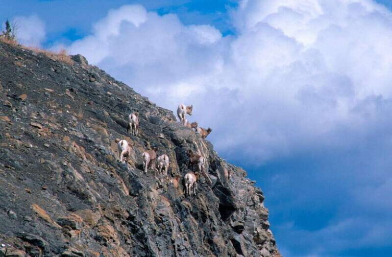 PRIVATE Wilderness and Wildlife Walking Tour - 2.5H - The Environment: Why These Locations Matter