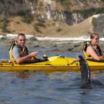Private Wildlife Kayaking Tour - Kaikoura - Why This Tour Is Worth Considering