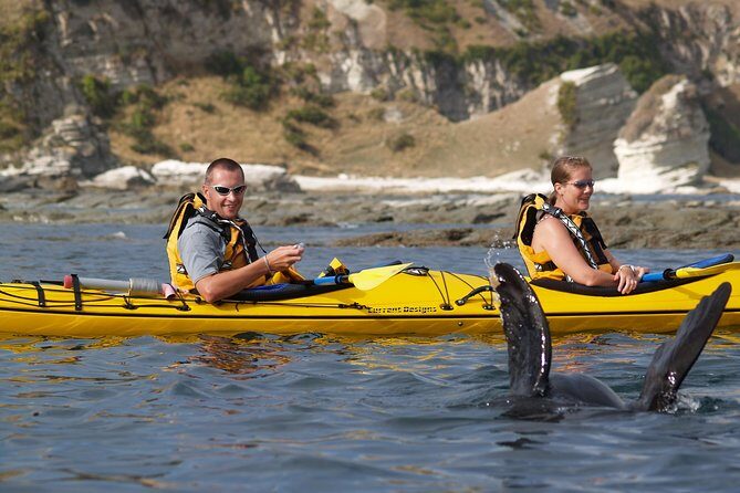 Private Wildlife Kayaking Tour - Kaikoura - Why This Tour Is Worth Considering