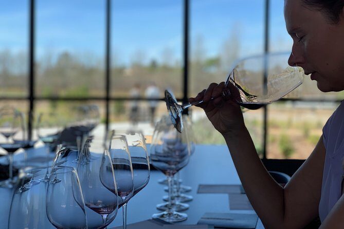 Private Wine Tasting Tour from Santa Barbara - What Makes This Tour Stand Out?