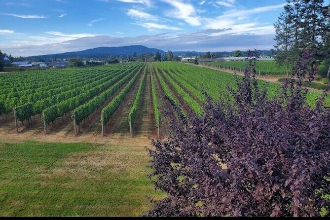 Private Wine Tour at Church and State Wines in Victoria BC Canada - The Sum Up