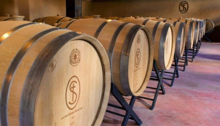 Private Wine Tour from Guanajuato City - Why This Tour Offers Real Value
