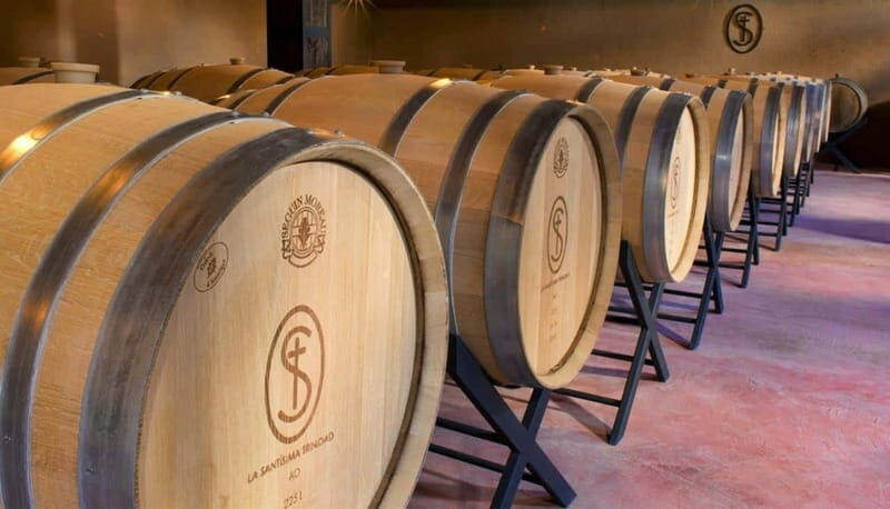 Private Wine Tour from Guanajuato City - Why This Tour Offers Real Value