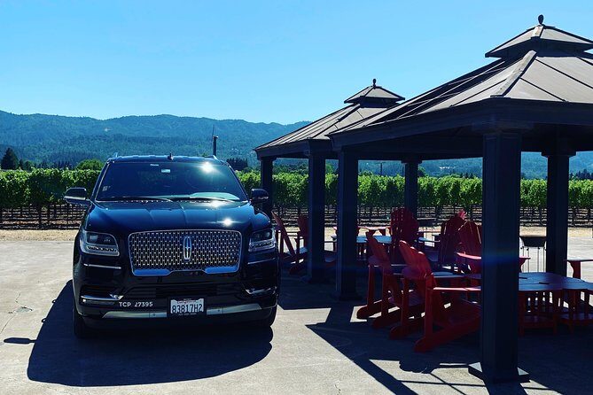 Private Wine Tour Napa or Sonoma 6 hours up to 6 people - An in-depth review of what to expect from this private wine tour