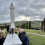 Private Wine Tour of Napa and Sonoma - What’s Included and What’s Not