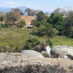 Private Xihuacan Archaeological Tour - Practical Details: What to Expect