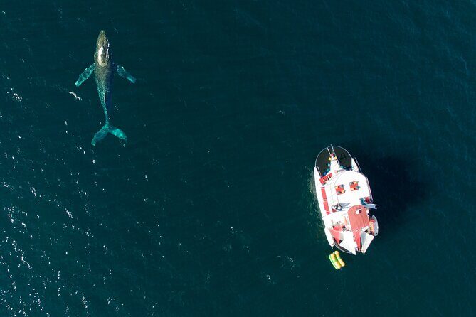 Private Yacht Charter on ChicaFun 1 Waterslides all inclusive - Who Will Love This Tour?