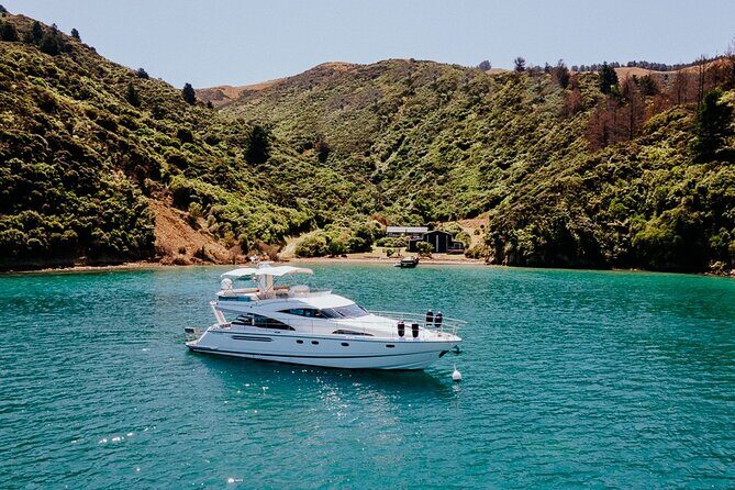 Private Yacht Cruise in the Marlborough Sounds New Zealand - What You Need to Know Before Booking