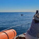 Private Yacht, Snorkeling or Sunset in Cabo San Lucas - Itinerary Breakdown: What to Expect at Each Stop