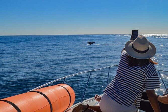 Private Yacht, Snorkeling or Sunset in Cabo San Lucas - Itinerary Breakdown: What to Expect at Each Stop