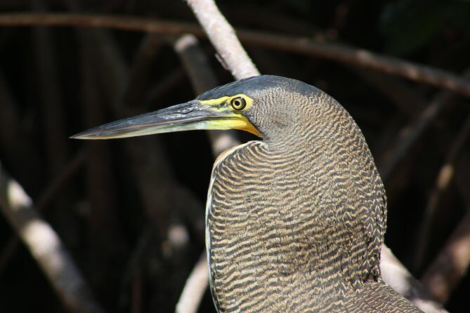 Private Yucatan Discovery Tour - What Could Be Better?