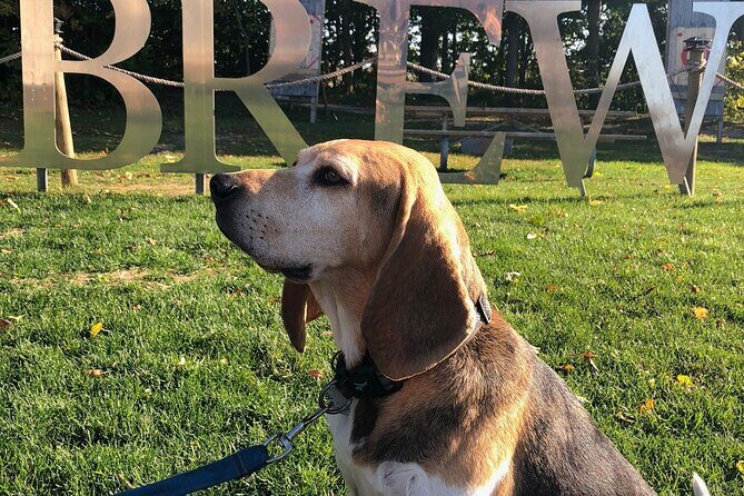 Private:Brewery, Winery, and Cider & Spirit Tastings Tour in SW Ontario - Deep Dive into the Experience: Why It Works