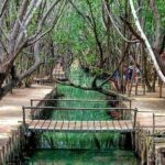 Progreso, Isla Columpios and El Corchito from Merida - Who Would Love This Tour?