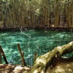 Progreso segway Sightseeing and Beach Break Adventure Excursion - Is It Good Value?