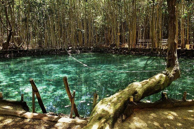 Progreso segway Sightseeing and Beach Break Adventure Excursion - Is It Good Value?